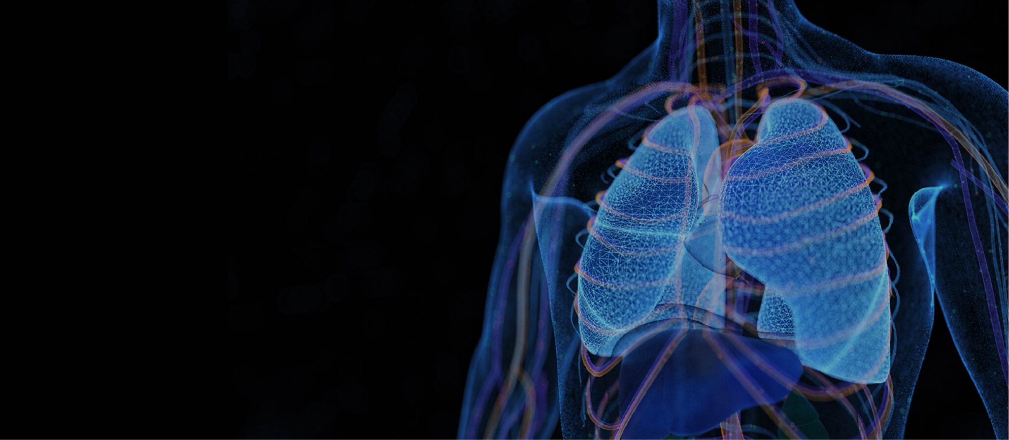 製品 | NAIDI 株式会社